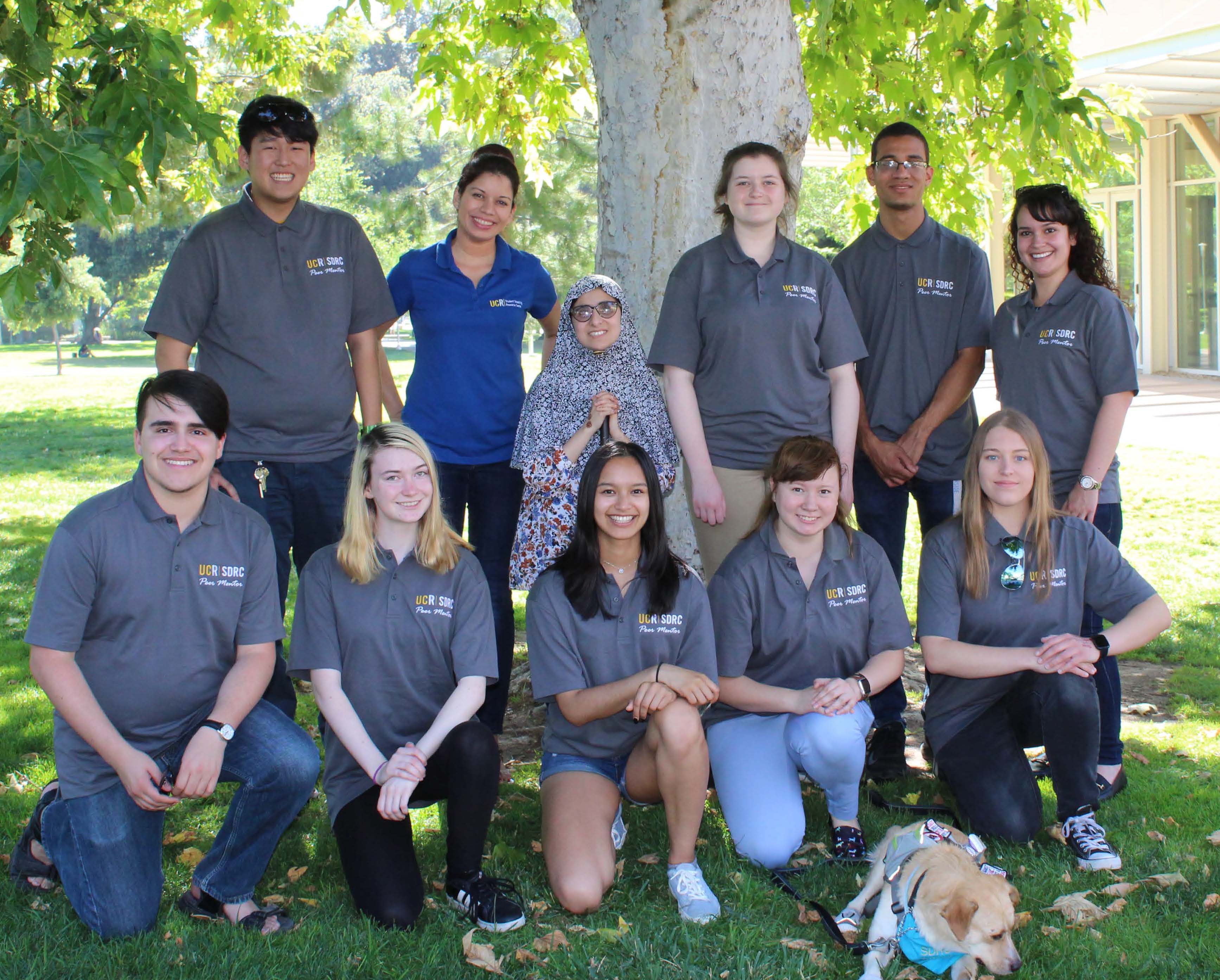 Programming | SDRC | UC Riverside